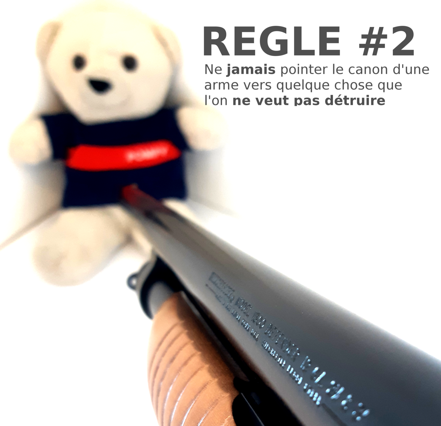 Les 4 règles de sécurité avec une arme pour éviter l'accident - letireur.fr